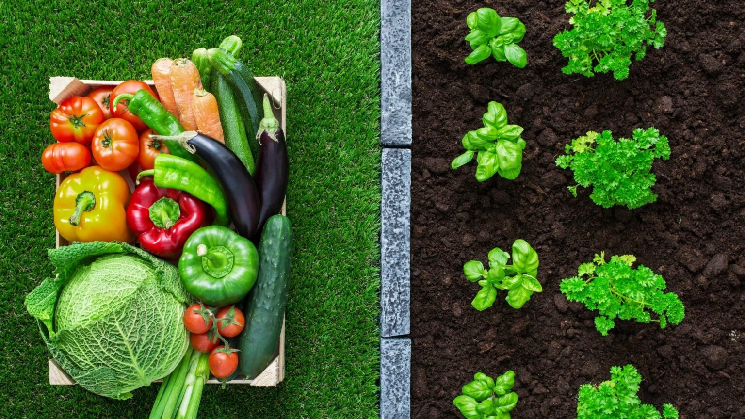 Advance the role of sustainable food production - Gratitude